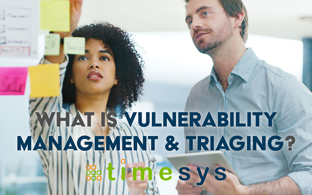 Vulnerability Management And Triaging Timesys